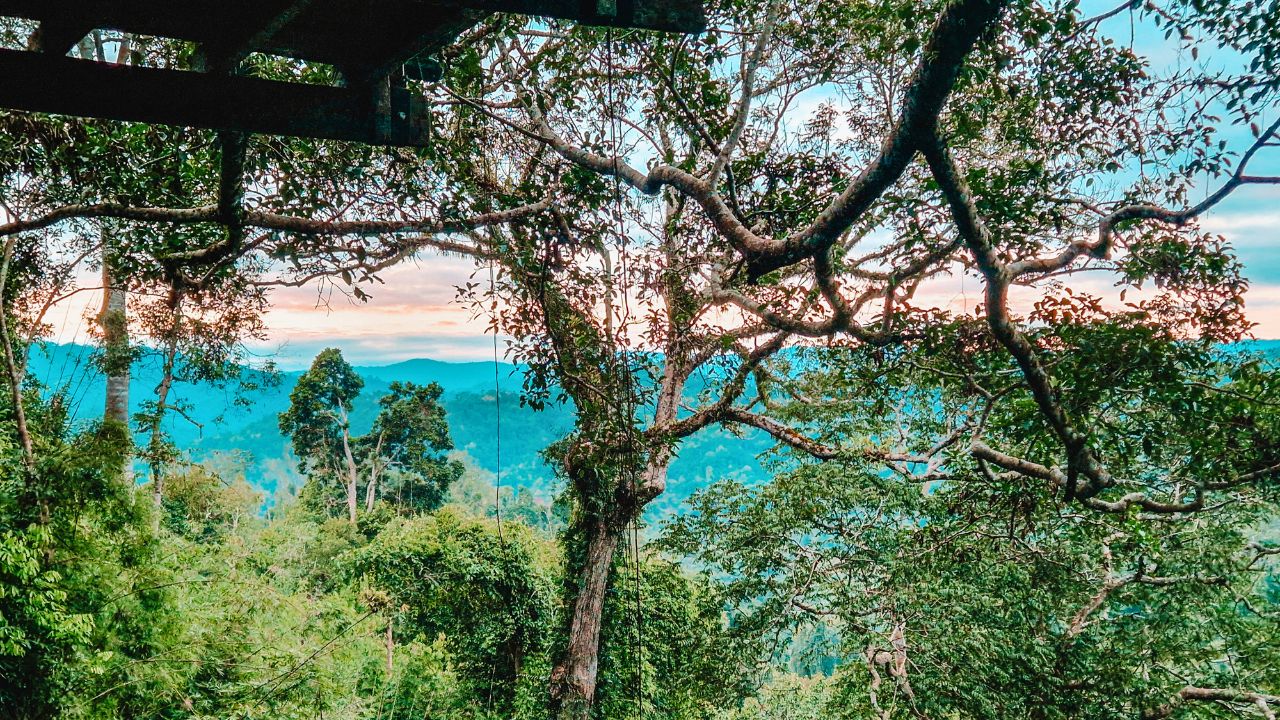 I Slept in a Jungle Treehouse in Laos—Only Way In: Zipline - World ...